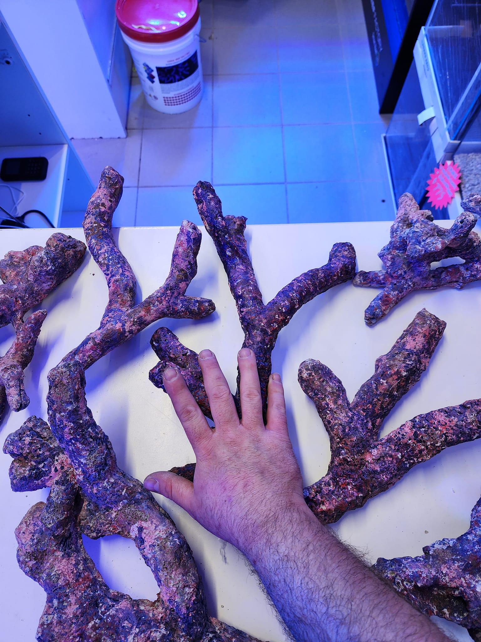 Java Rock Reef Branch - per KG Or Box – Aquamarine Aquaristic