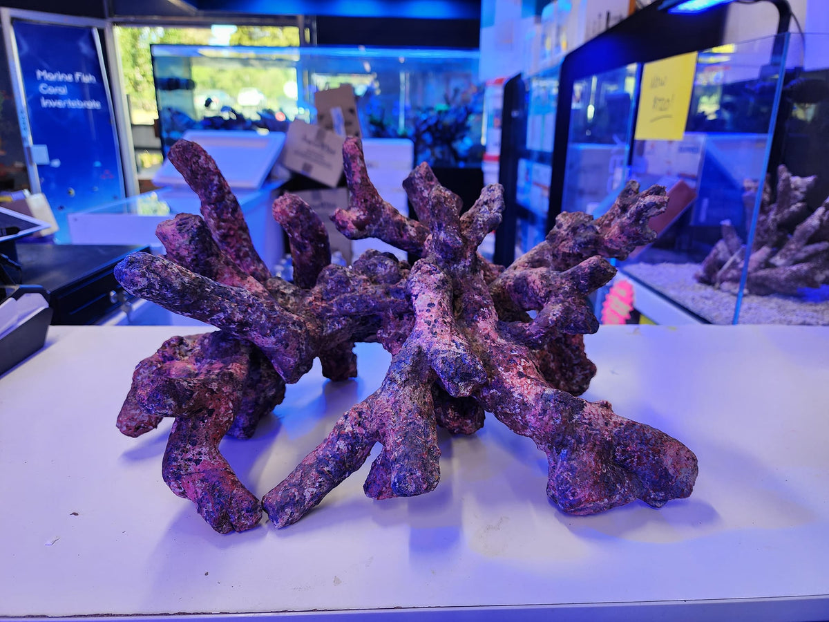 Java Rock Reef Bommie – Aquamarine Aquaristic