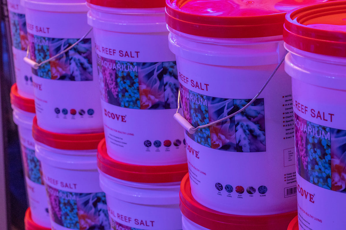 Cove Coral Reef Salt 20kg – Aquamarine Aquaristic