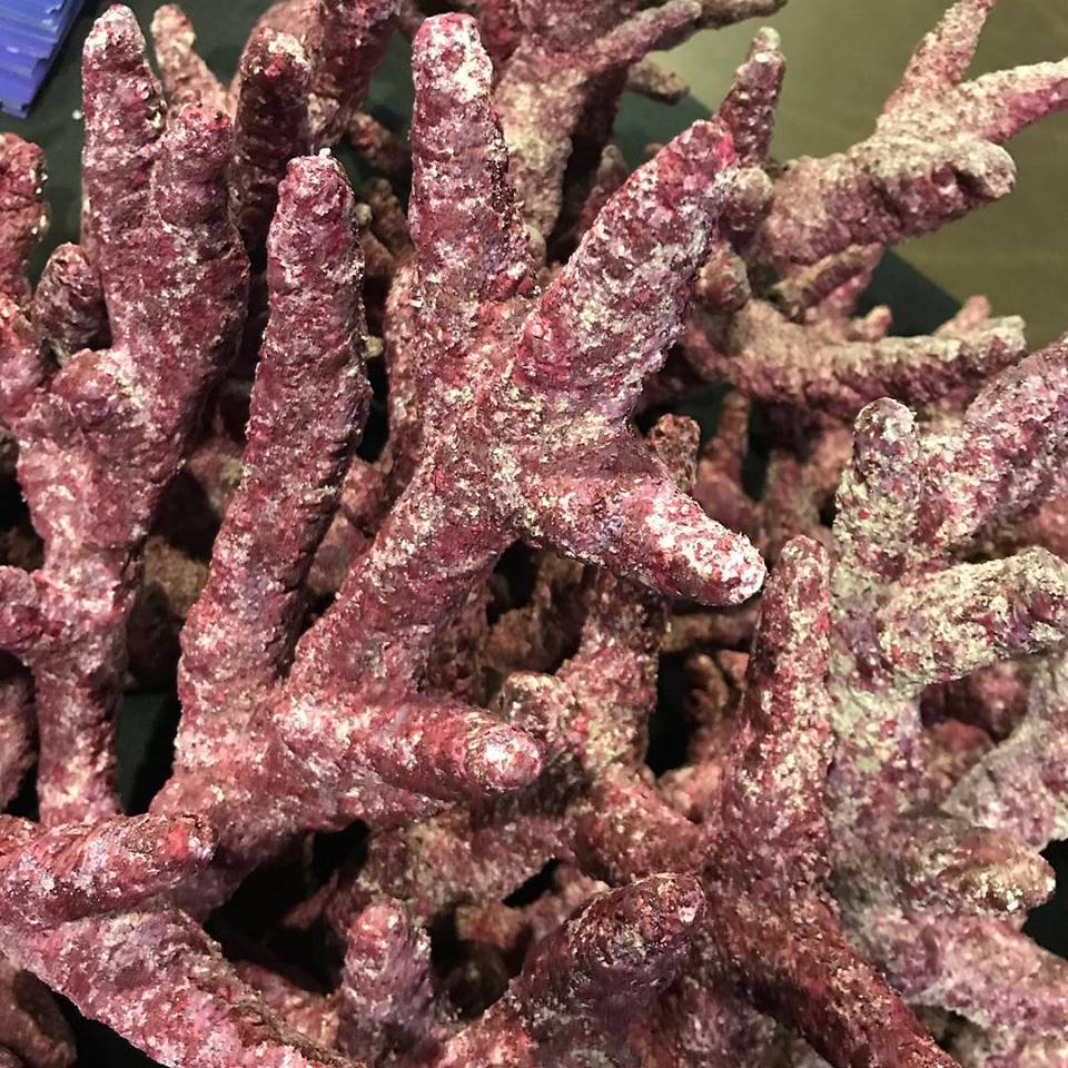 Real Reef Branch Rock - Per kg – Aquamarine Aquaristic